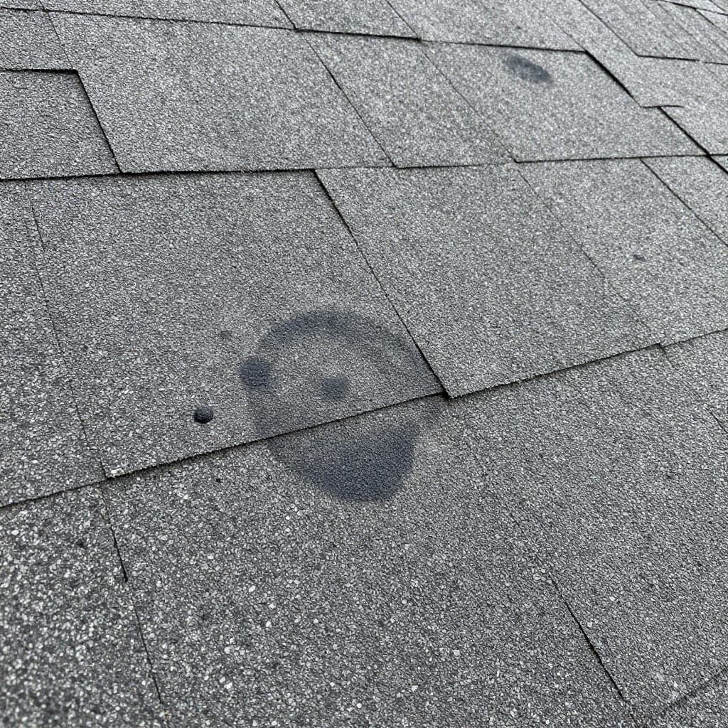 Hail Bruising Shingles: How To Spot Commercial Roof Damage